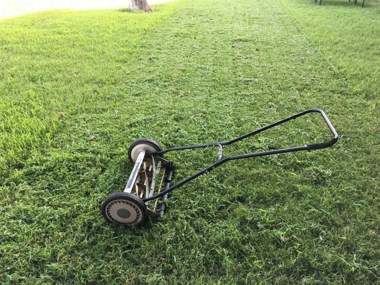 Reviews Of The Best Reel Lawn Mowers - Yards Improved