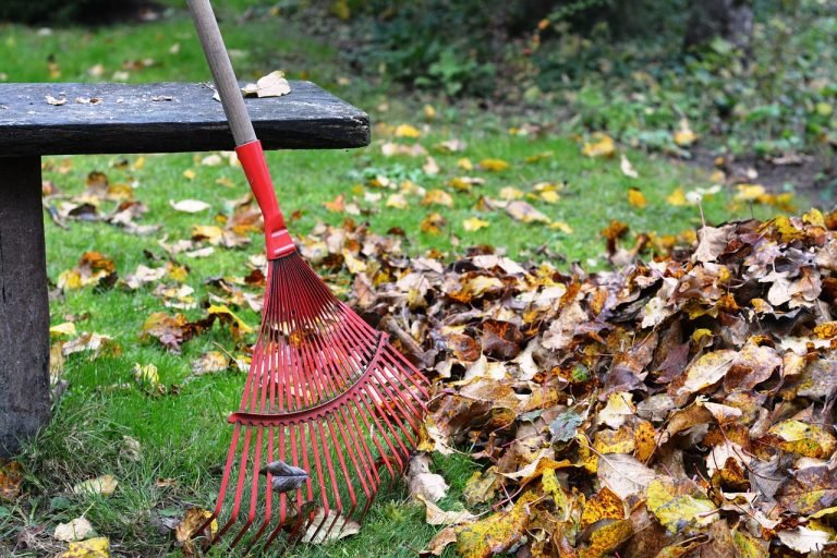 What Types Of Rake Are There? - Yards Improved