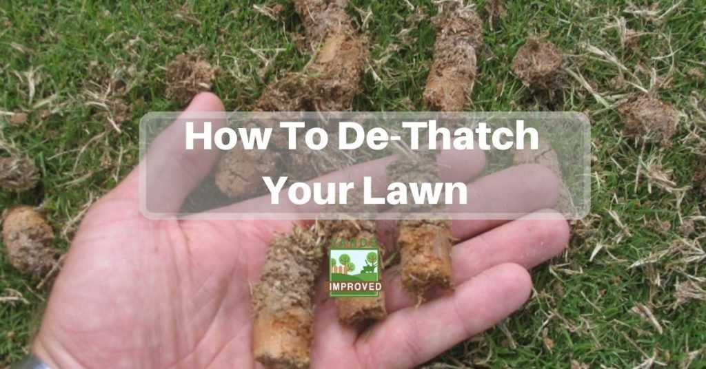 How To De-Thatch Your Lawn - Yards Improved