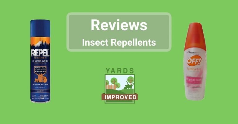 Keeping Bugs Away From Your Patio - Yards Improved