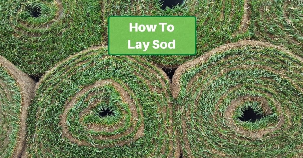 How To Install Sod - Yards Improved
