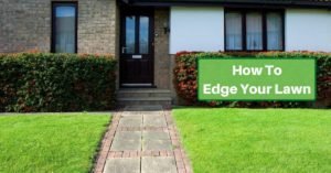 Edging Your Lawn - Yards Improved
