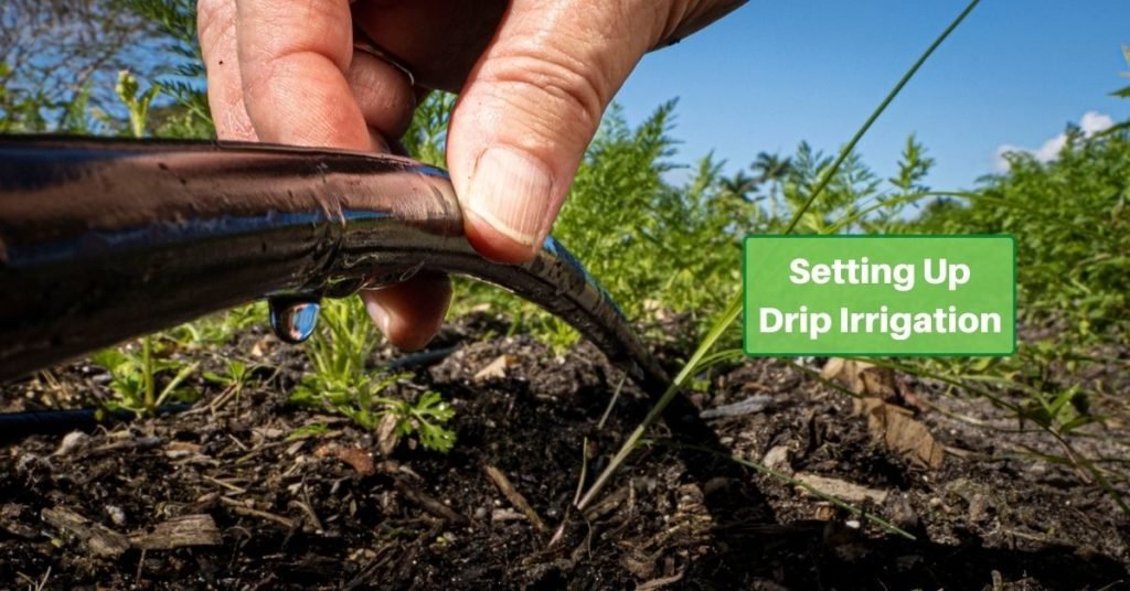 Setting Up Your Own Drip Irrigation System - Yards Improved
