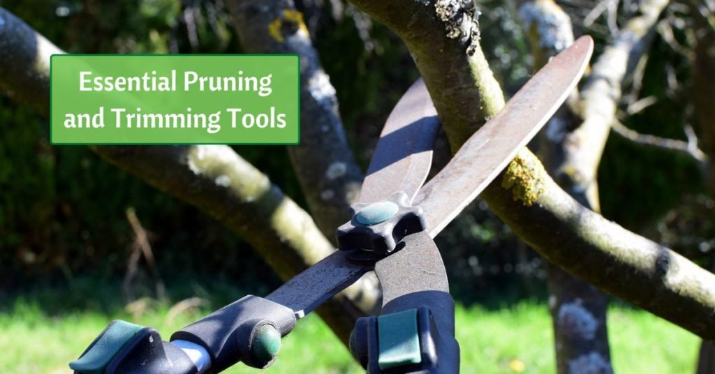 Essential Tools For Pruning And Trimming - Yards Improved