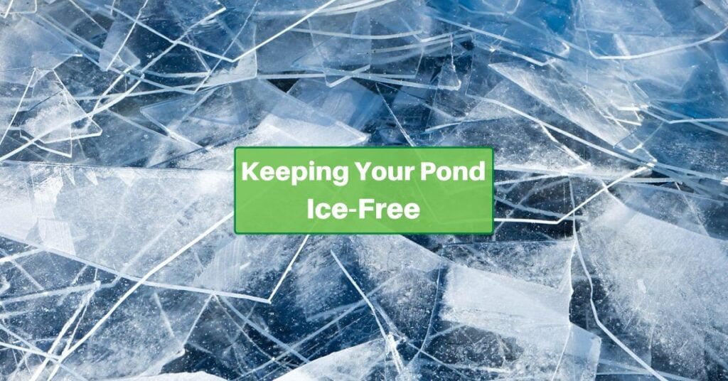 Why Keeping Your Pond Ice-Free Matters - Yards Improved